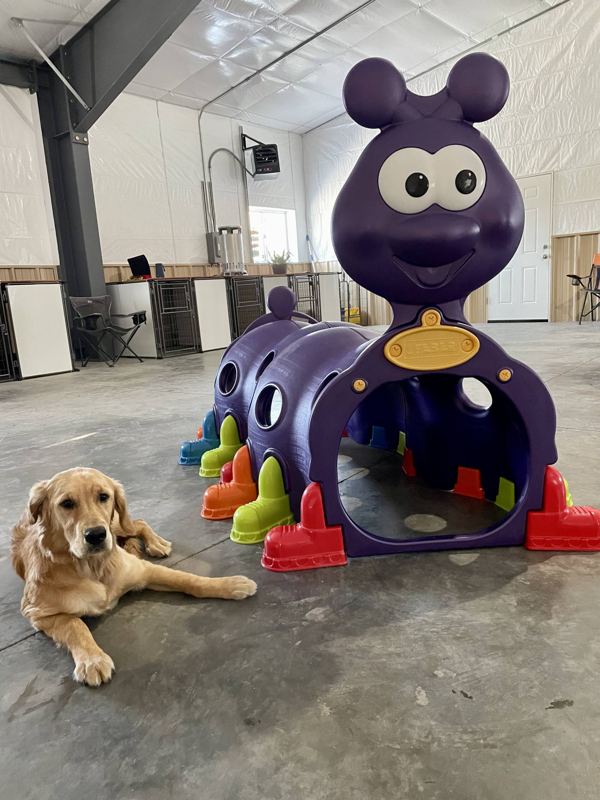 Reservations - Ruff Dogs